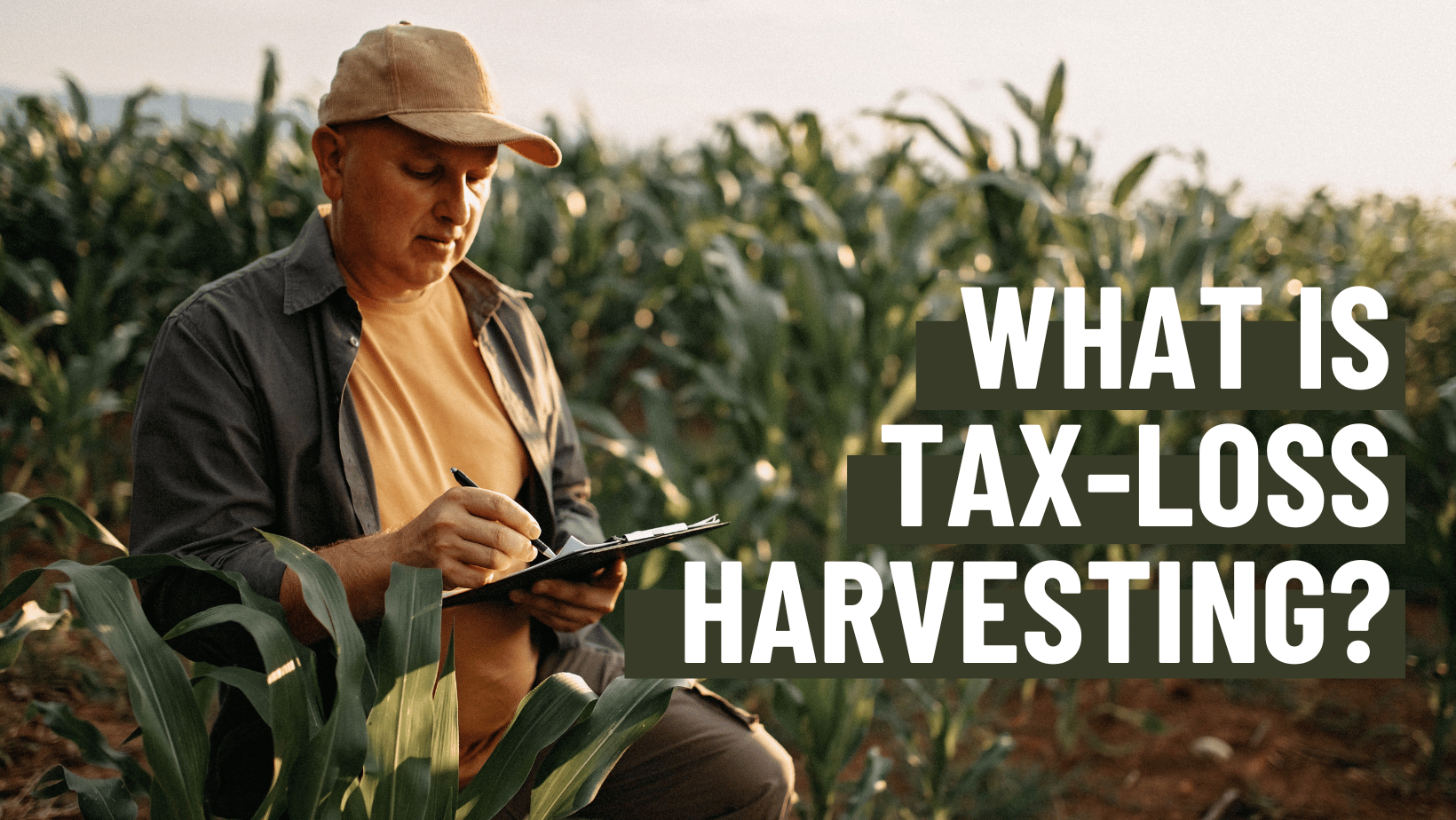 What Is Tax Loss Harvesting 